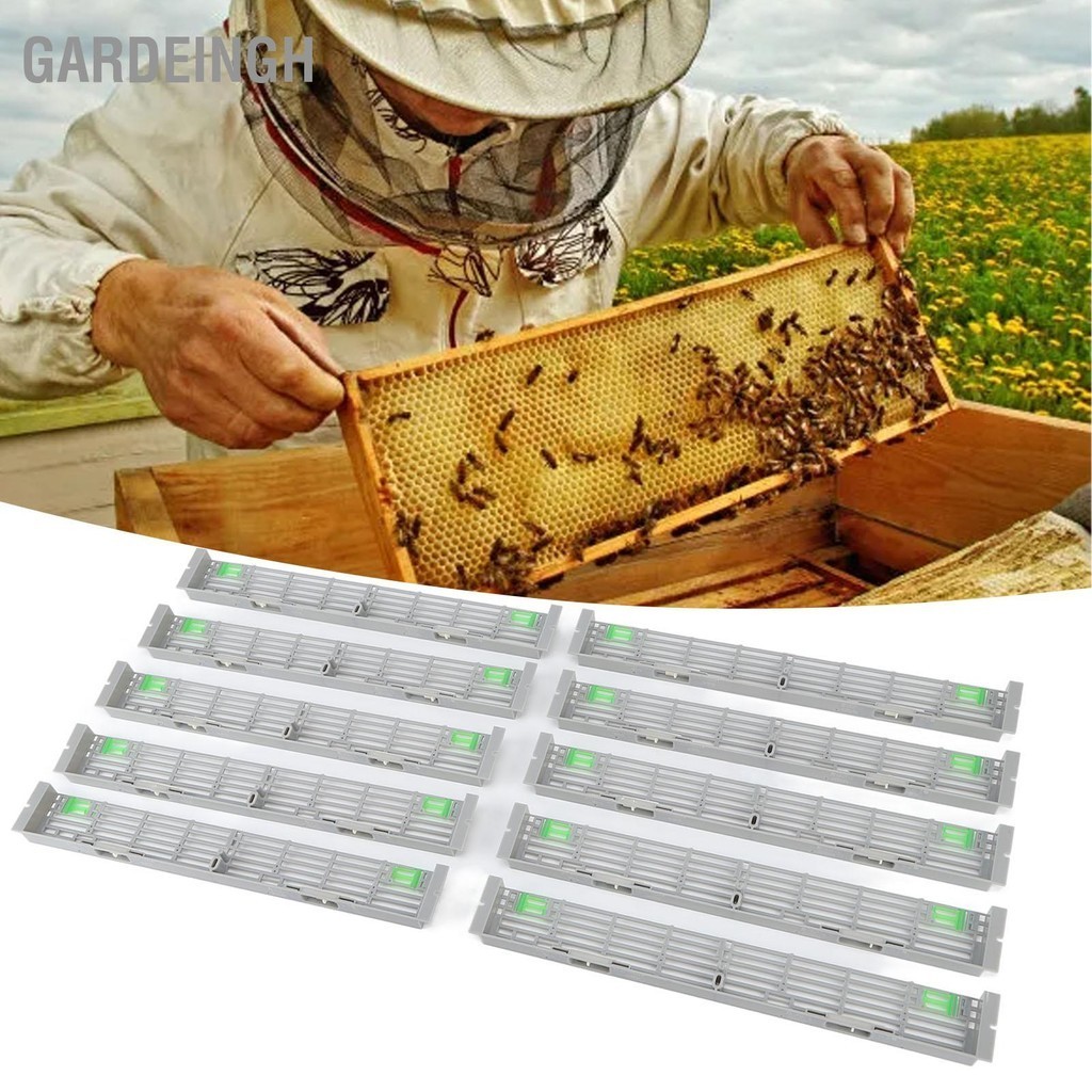 GardeingH 10 PCS Beehive เลื่อนเมาส์ Guards ฟรีระเบียบพลาสติกแบบใช้ซ้ำ ...
