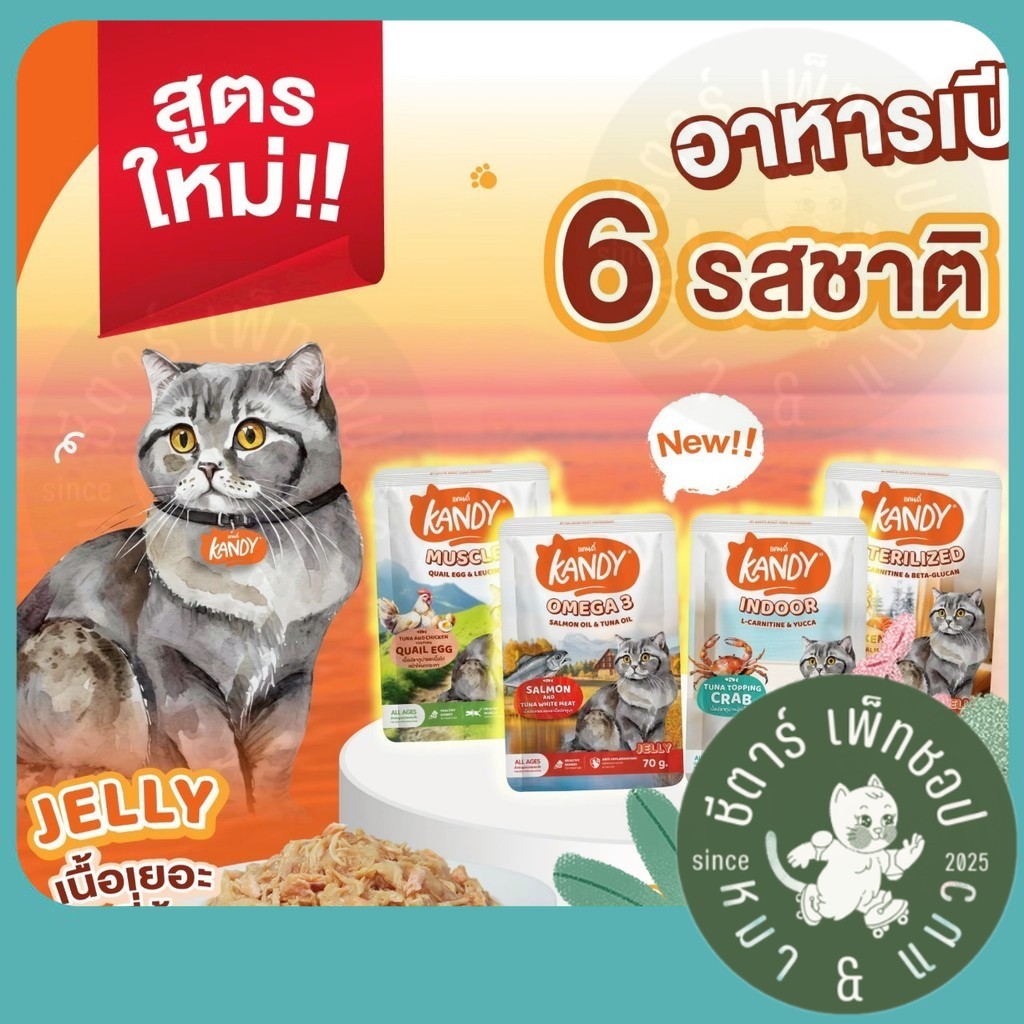 [ ยกโหล 12 ซอง ] Kandy อาหารเปียก แมว แคนดี้ ผลิตจากปลาเนื้อขาว ไม่ใส่ ...