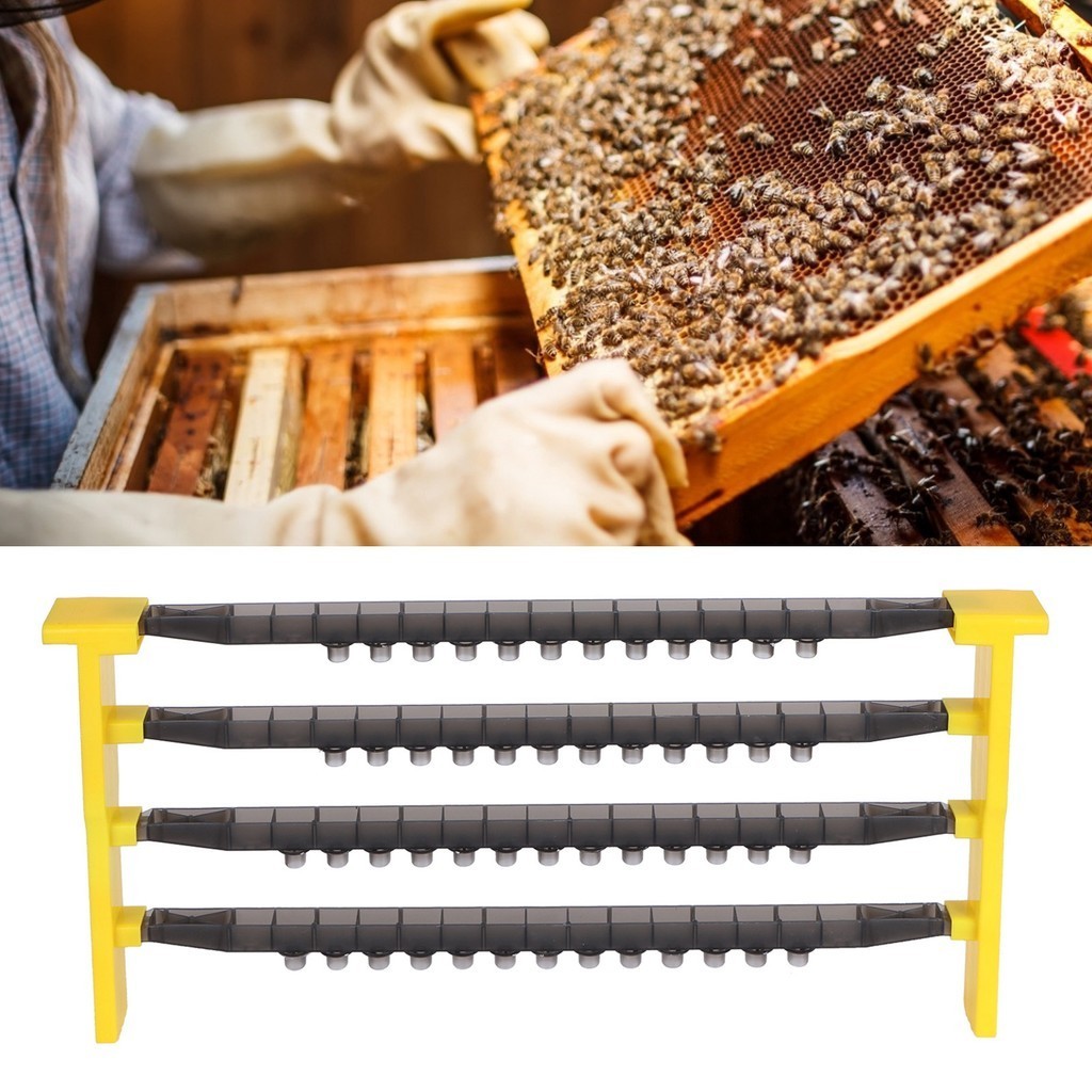 Barbaraa Bee Cell Cups ชุด Queen Rearing System การเพาะปลูกการเลี้ยง ...