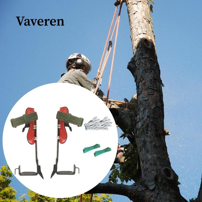 [Vaveren] Tree Climbing Gear Tree Climbing Spikes ปรับไม่ลื่นทนทานแบบพกพา Climbings Kit อุปกรณ์ ...