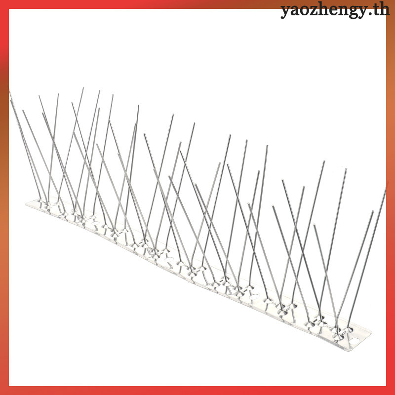 กระรอก Little Bird Deterrent รั้ว Spikes Anti Seagull สแตนเลสกลางแจ้ง ...