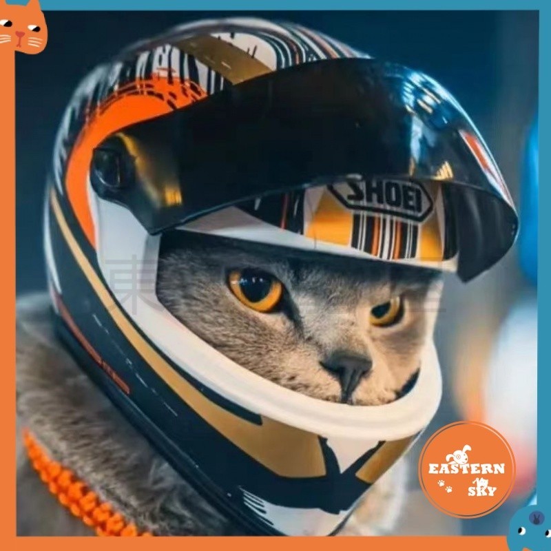 รูปแบบใหม่Motorcycle Pet Safety Helmet Cat Motorcycle Helmet Doll Toy ...