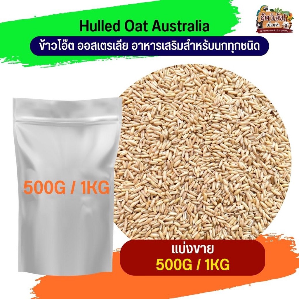 Hulled Oat Australia ข้าวโอ๊ต ออสเตรีย(แบ่งขาย 500G / 1KG) | Shopee Thailand