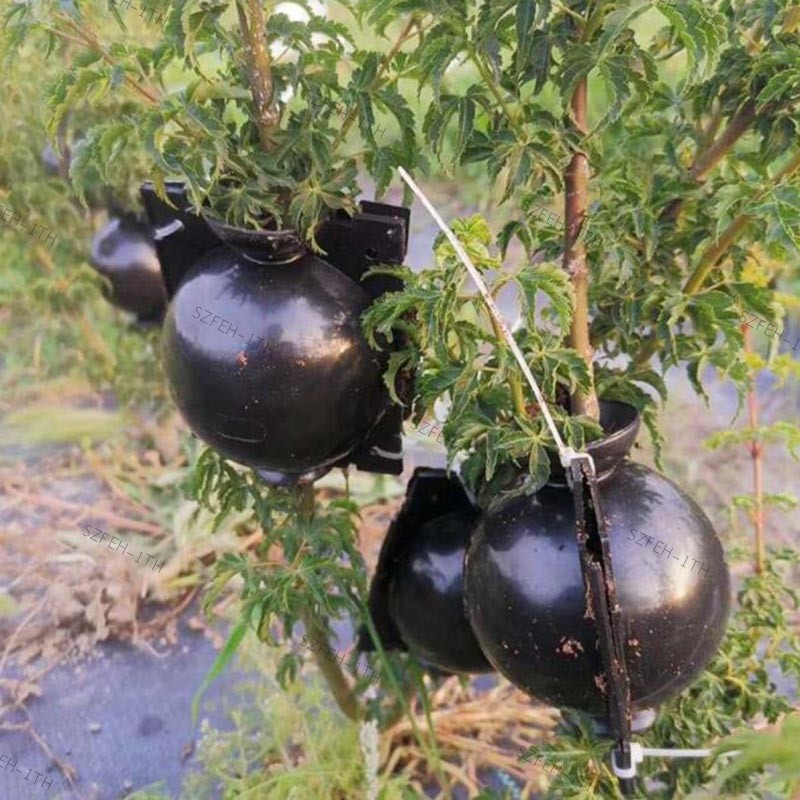 พืช Rooting Ball กรณีผลไม้ Tree Root กล่อง Planter กรณี Grafting ...