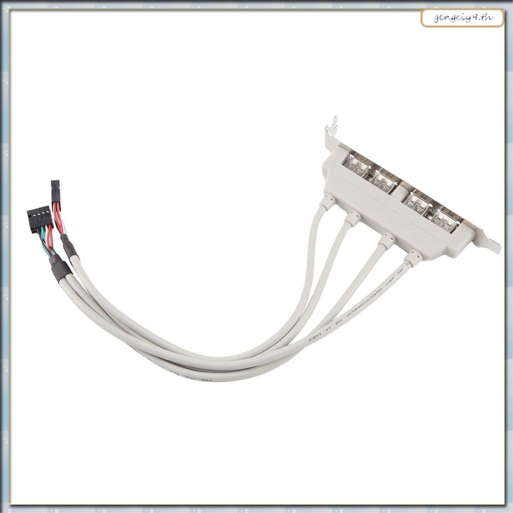 Zbm เมนบอร์ดคู่ 9pin Header ถึง 4 พอร์ต Usb 20 สายเคเบิลหญิง Pci 5255