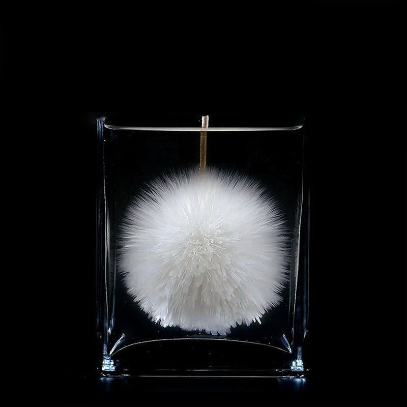 Drip Condensation Experiment Material Children's Science Experiment ...