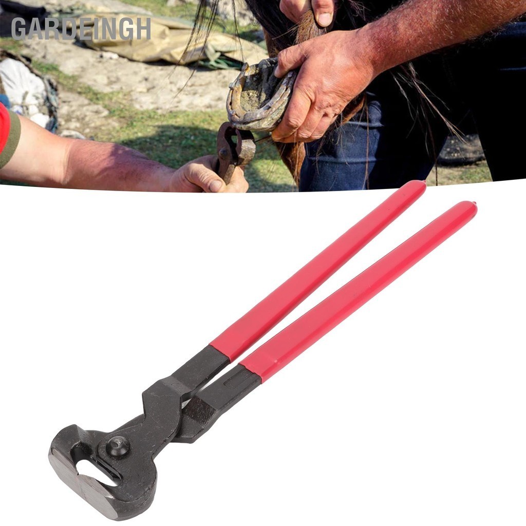 GardeingH Hoof Nipper Trimmer 14in Clippers Horseshoe คีม ตัดเครื่องมืออุปกรณ์ม้าอุปกรณ์ขี่ม้า ...