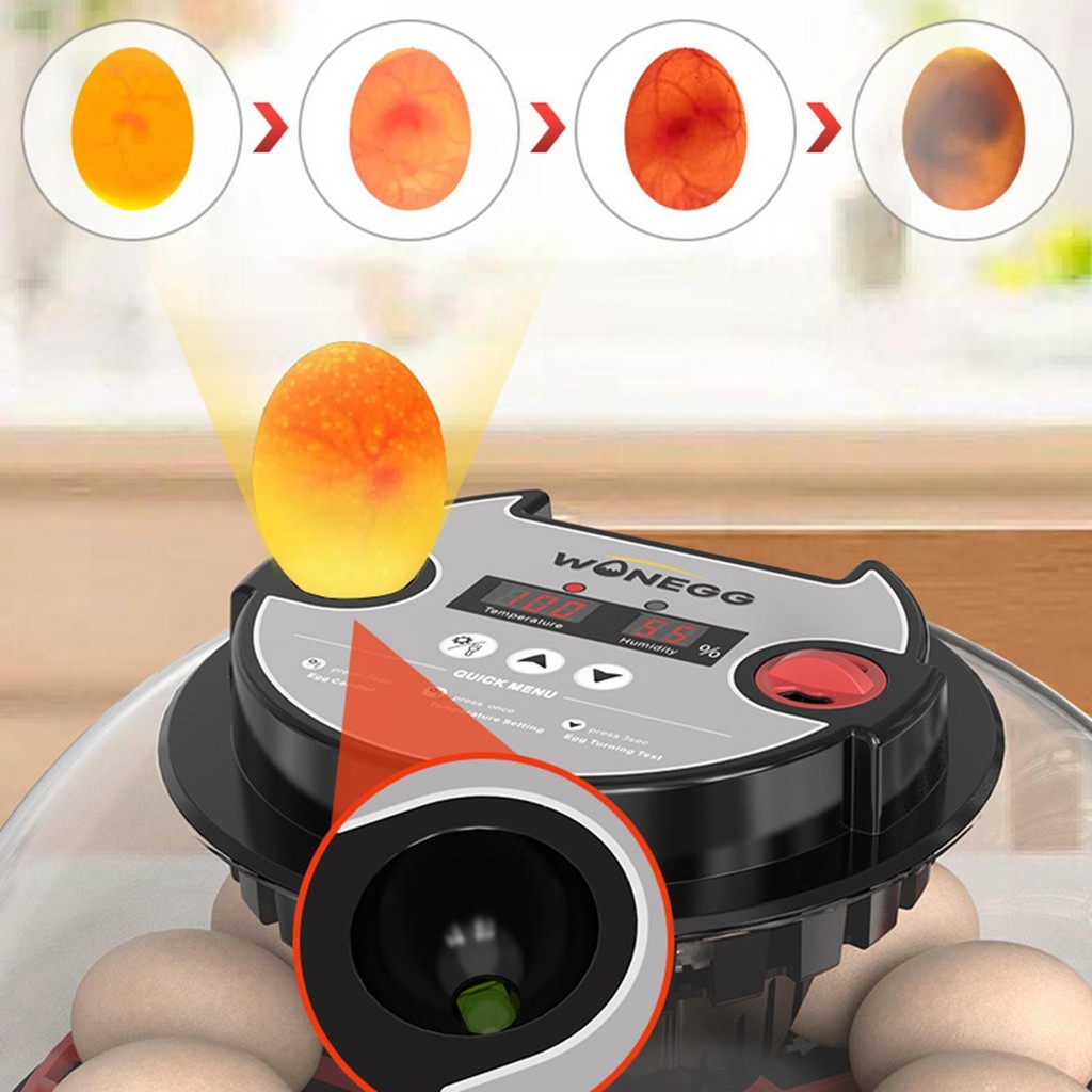 [lzdjhyke2yi] ตู้ฟักไข่ เครื่องหมุนไข่อัตโนมัติพร้อมฝาปิดใส ฟักสะดวก ...