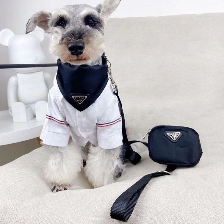 สายจูงสุนัข Shiba Inu French Fighting Teddy Bib สุนัขขนาดเล็กผ้าพันคอ ...