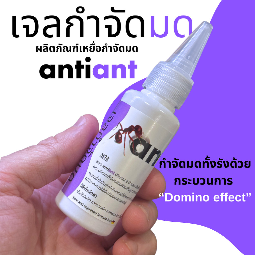 antiant เจลกำจัดมด แอนตี้แอนท์ ของแท้ 100% | Shopee Thailand