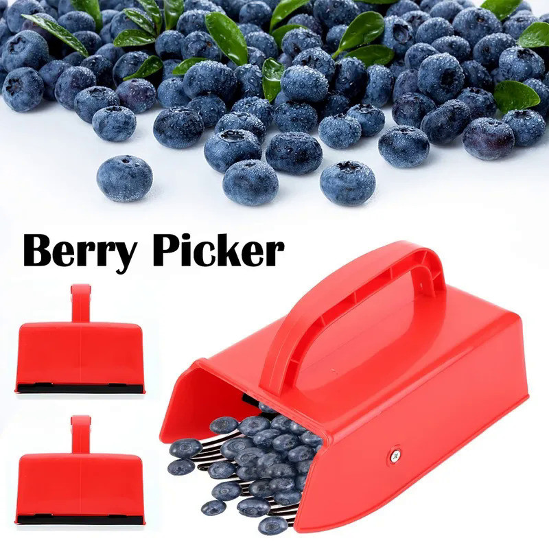 Portable Metal Berry Picker Blueberry Collection Convenient Handle ...