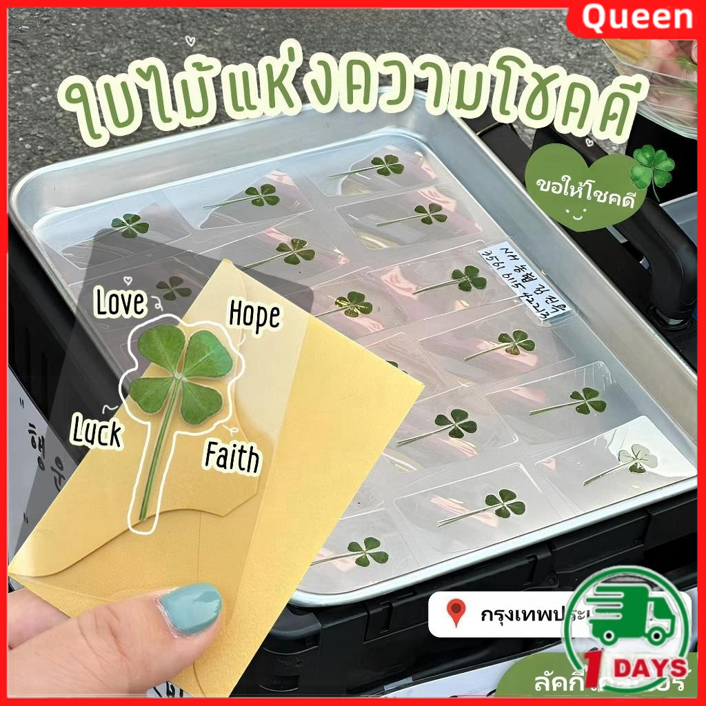 TH 24h SHIPFour leaf clover ซองทอง ใบนําโชค | Shopee Thailand