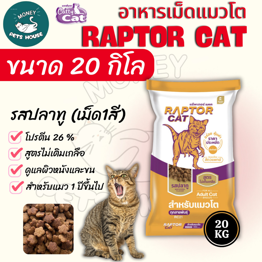 [[ขนาด 20 กิโล]]n อาหารแมว RAPTOR CAT โปรตีน 26% ไม่เติมเกลือ โภชนาการ ...
