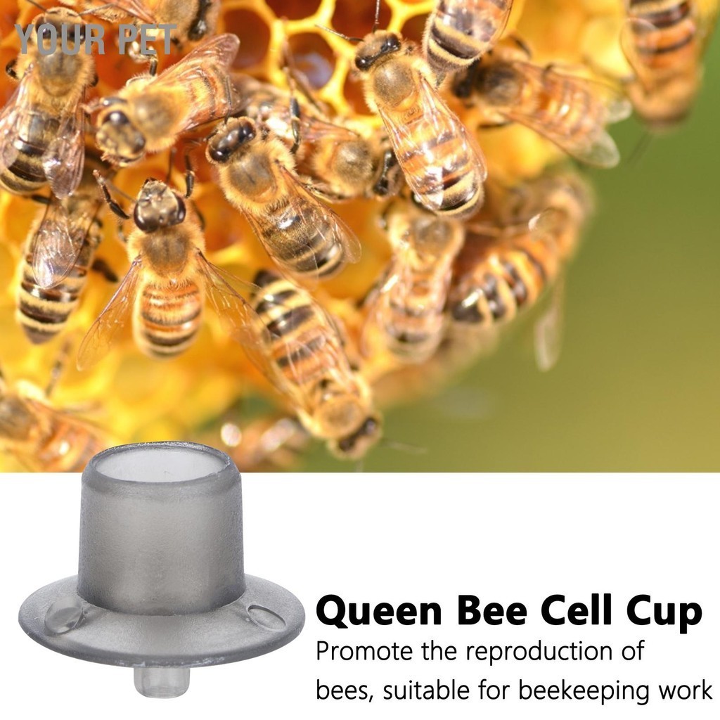 Your Pet 100 ชิ้น Queen Bee Rearing Cell ถ้วยพลาสติก Breeding Cage การ ...
