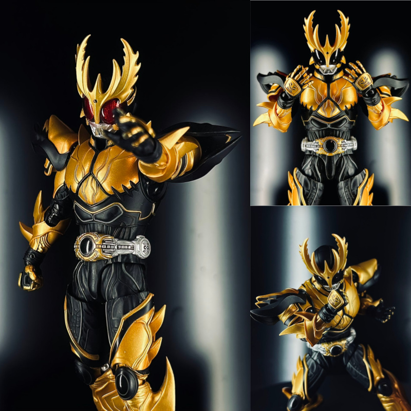 Kamen Rider Red Gold Empty I Ultimate Empty I Can Do Jewelry Fan ...