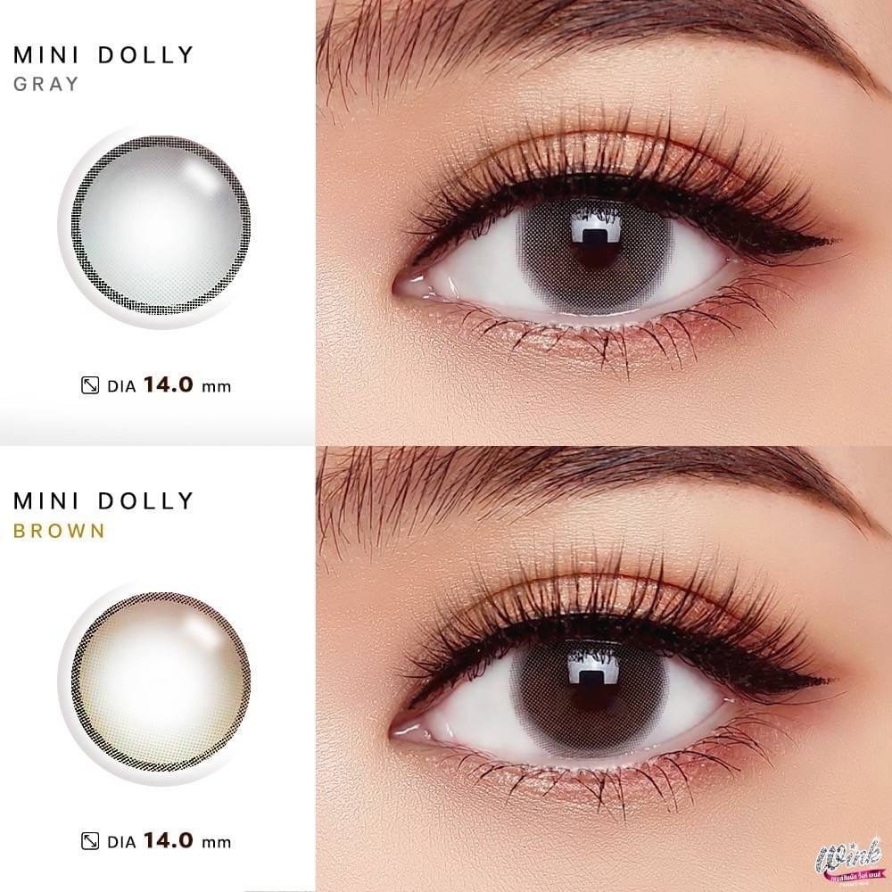 คอนแทคเลนส์(มินิ)🔥Mini Dolly🔥(Wink) สี : Chestnut / Gray รายเดือน มีค่า ...