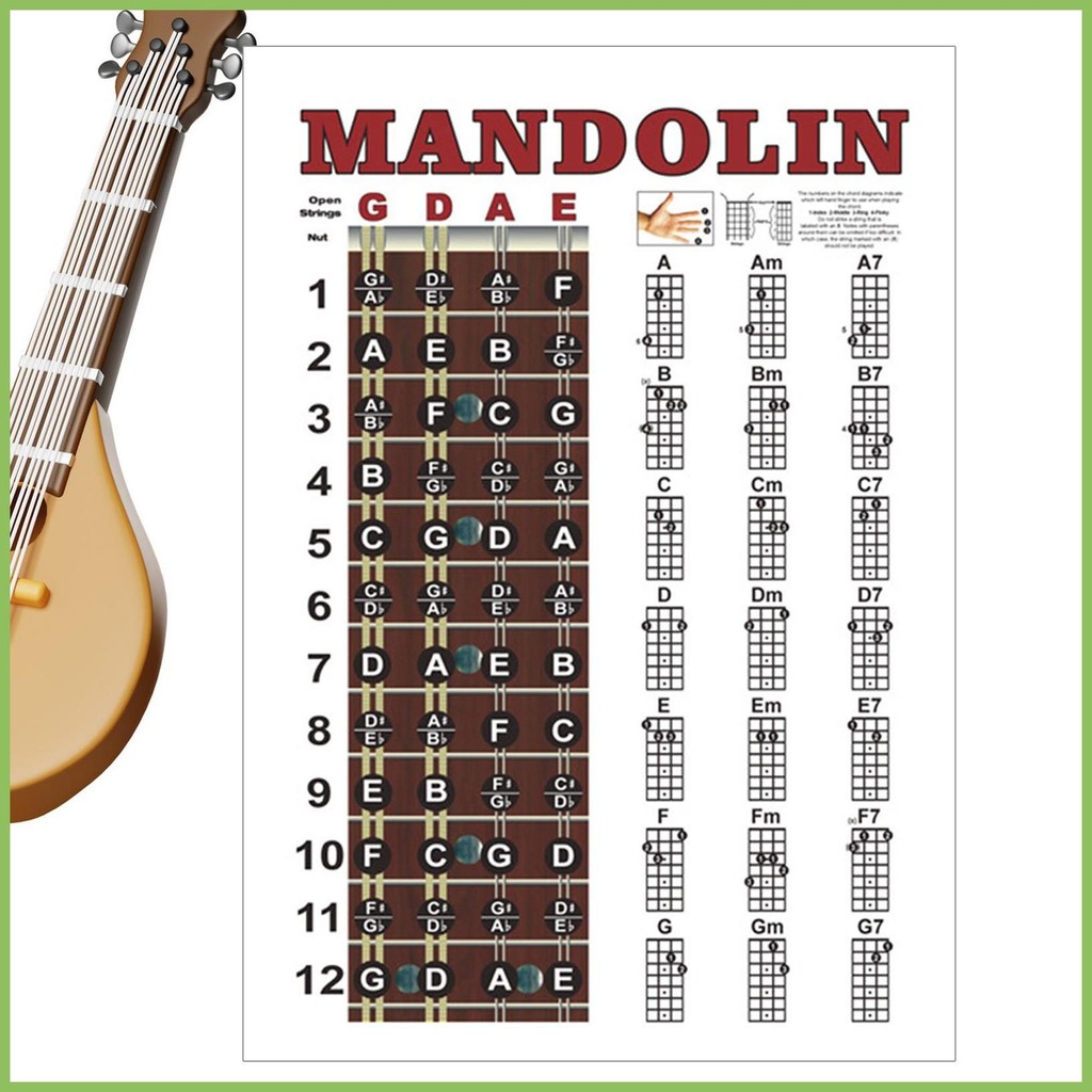 Mandolin Chord Chart โปสเตอร์ปฏิบัติ Mandolin การเรียนรู้เครื่องมือ ...