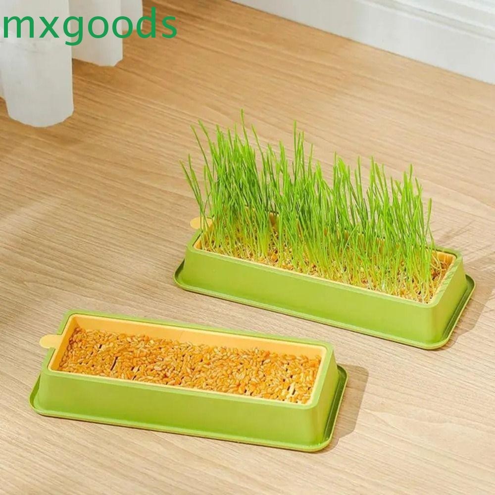 Mxgoods ชุดปลูกหญ้าแมว,4รูปแบบชามปลูกหญ้าแมวไฮโดรโปนิกส์,อุปกรณ์สัตว์เลี้ยงชั้นสีความคมชัดสะดวก ...