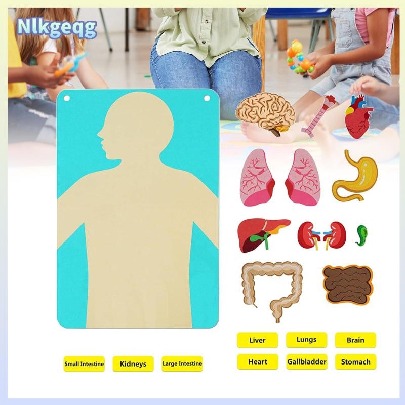 [nlkgeqg] Body Parts Learning Felt Story Board Set การเรียนรู้ในช่วงต้น ...