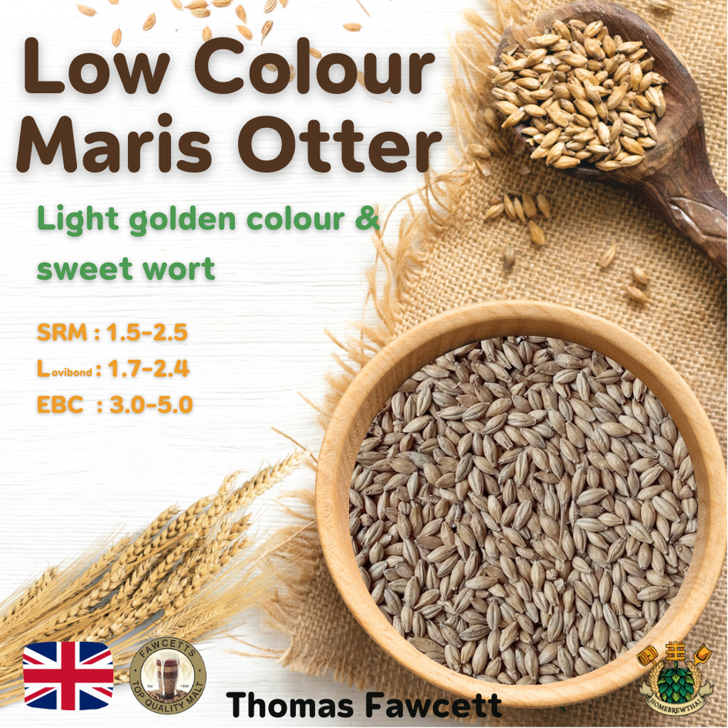 Low Color Maris Otter Pale Ale Malt (Thomas Fawcett) | Shopee Thailand