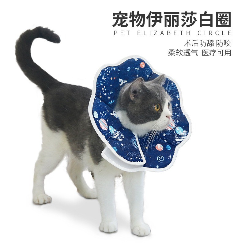 ขายร้อน Cat Elizabeth Ring กันน้ํา Anti-licking ฆ่าเชื้อหมวกสัตว์เลี้ยง ...