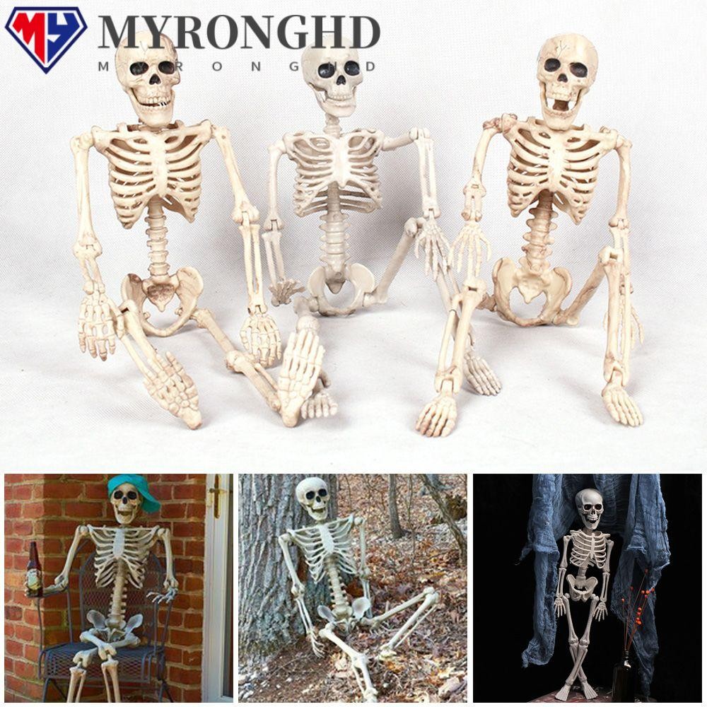 Myronghd 1 PC Bone Craft Anatomical 40 ซม. รุ่น | Shopee Thailand