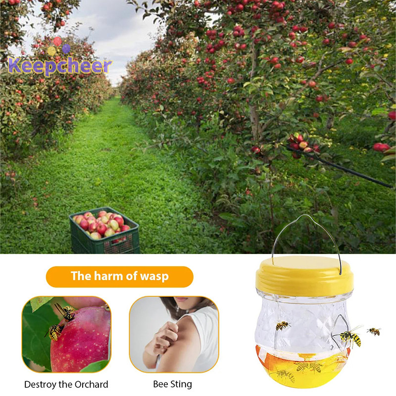 [Keepcheer] Fruit Fly Trap Killer พลาสติกสีเหลือง Drosephila Trap Anti ...