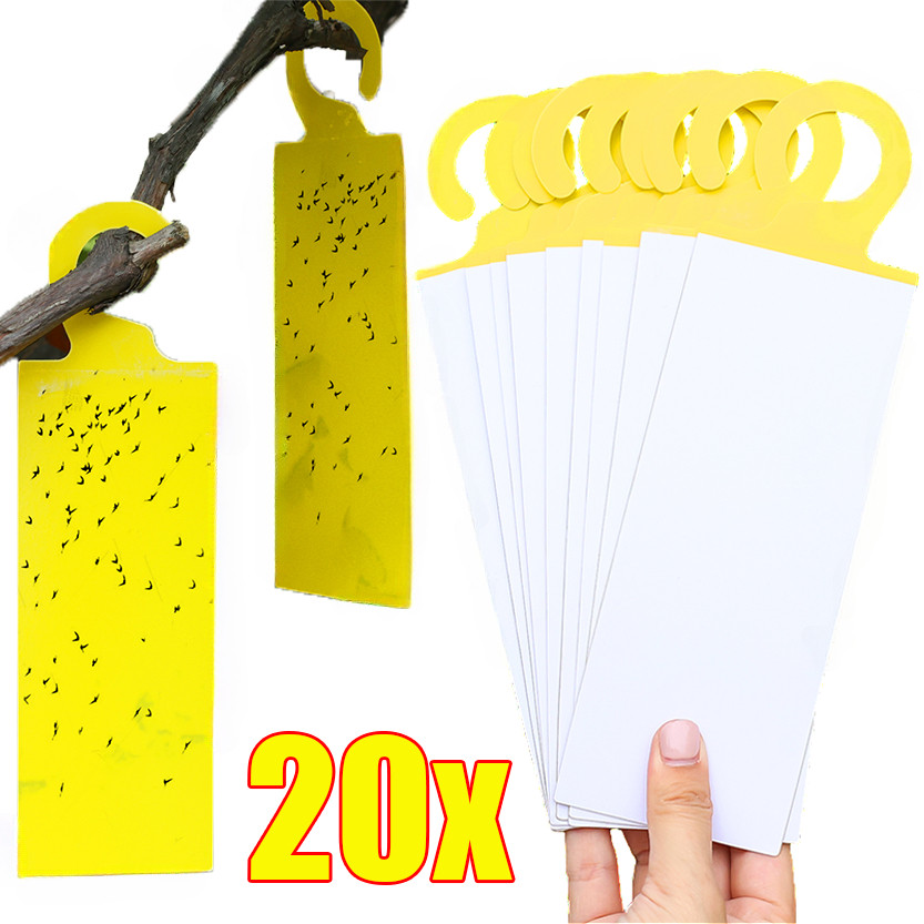 10/20 ชิ้นแขวน Garden Fly Sticky Boards / กับดักศัตรูพืชสองด้าน / สติก ...