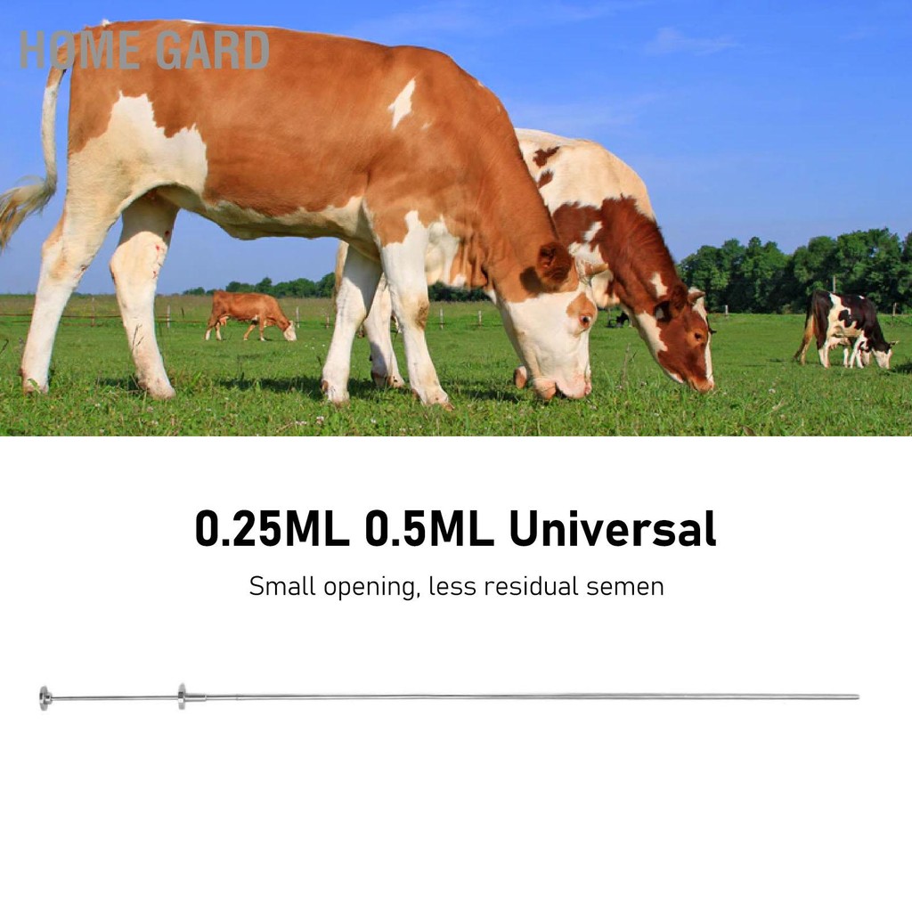 Home Gard วัว Inseminating Rod 304 สแตนเลสประดิษฐ์สัตว์ Breeding ...
