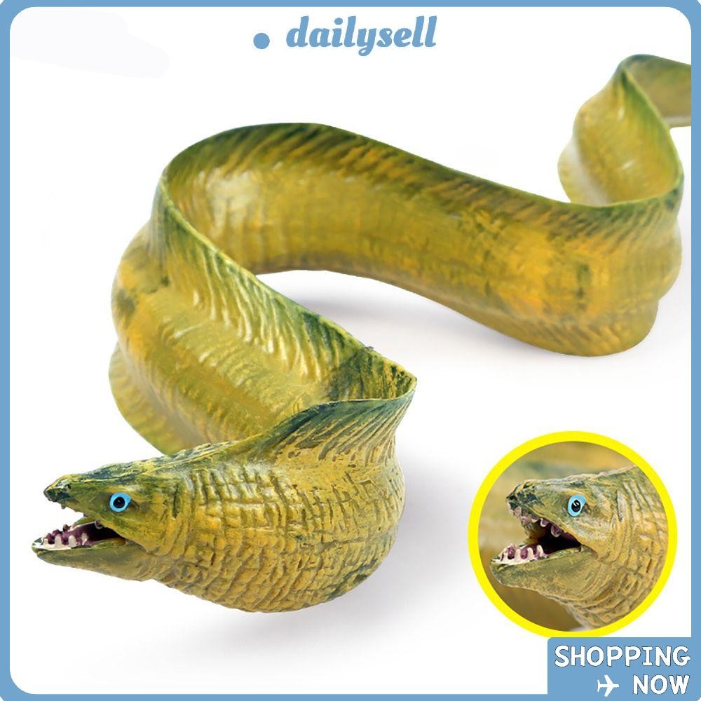 Daily Moray Eel Model Early Learning Gift Kids ความรู้ความเข้าใจ Marine ...