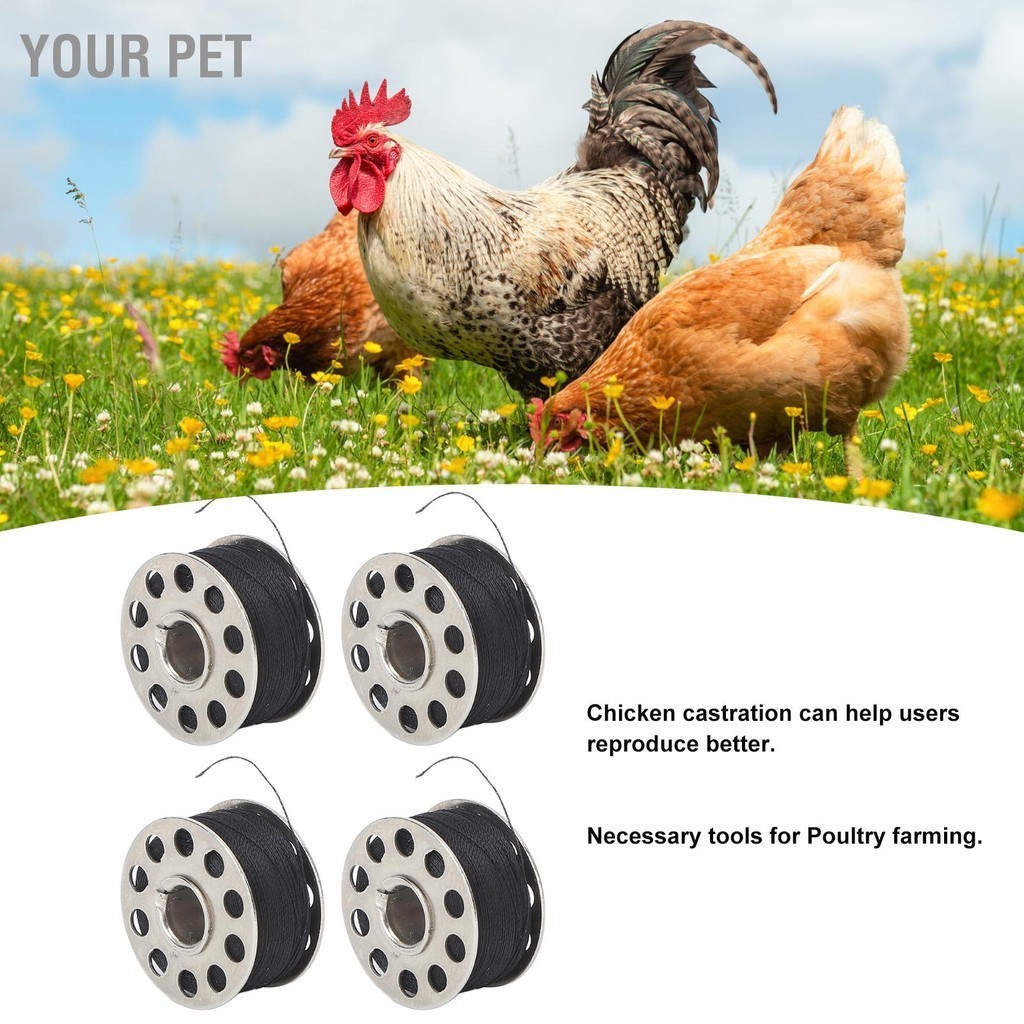 Your Pet 4 ชิ้นไก่ Caponizing Line เส้นใยประดิษฐ์แบบพกพาปลอดภัยไก่ ...