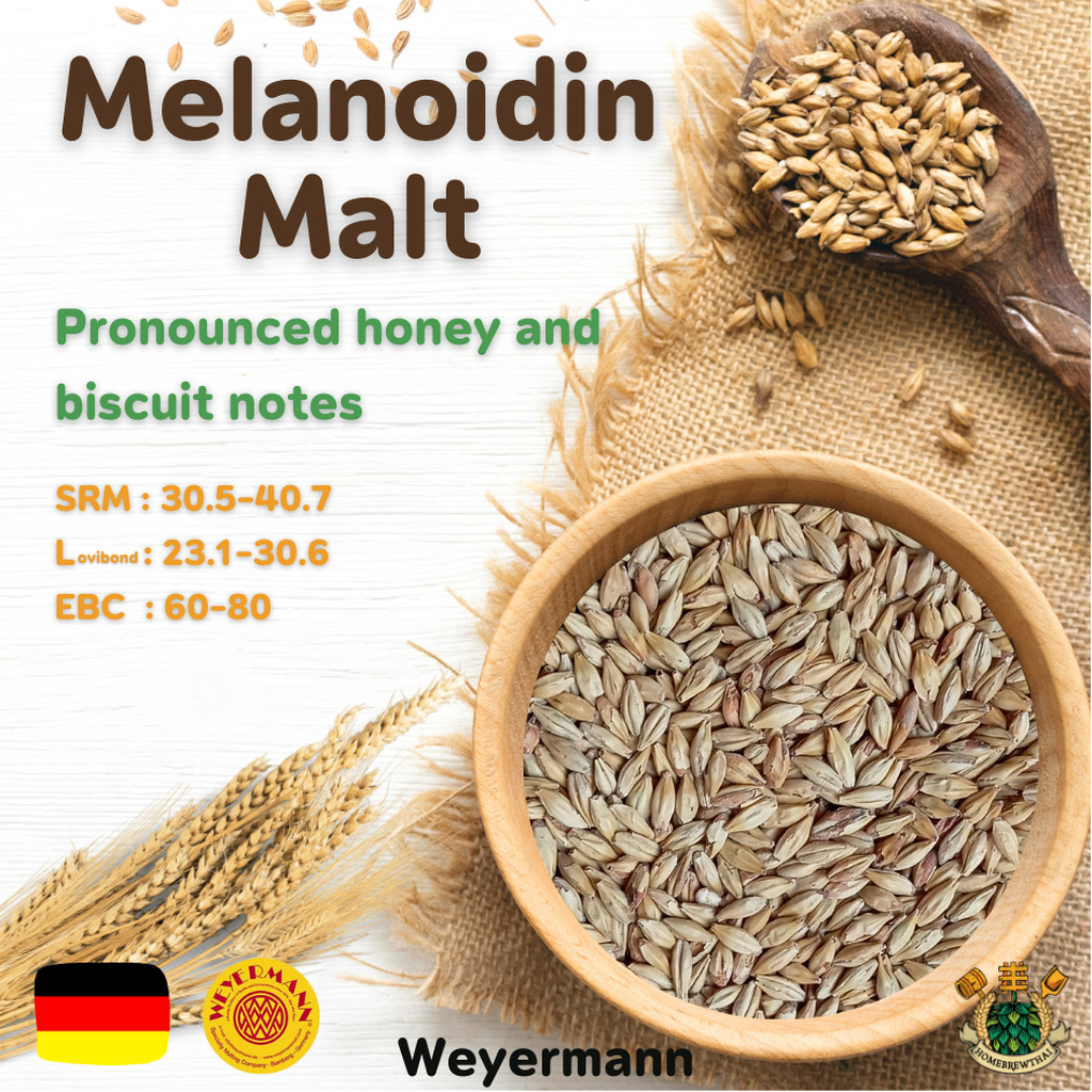 Melanoidin Malt (Weyermann) | Shopee Thailand