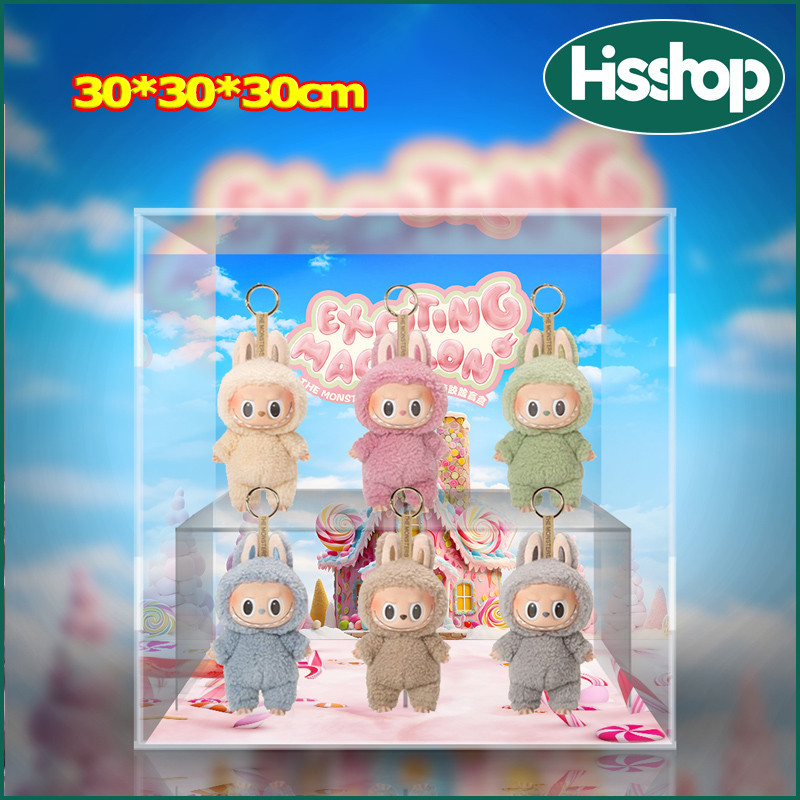 Popmart labubu Model Box ,labubu display Box 30cm | Shopee Thailand