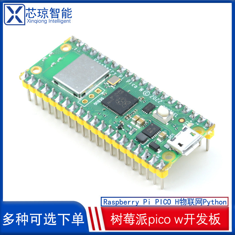 Raspberry Pi pico w Development Board Raspberry Pi Dual Core Microcontroller Kit Sensor RP2040 ...