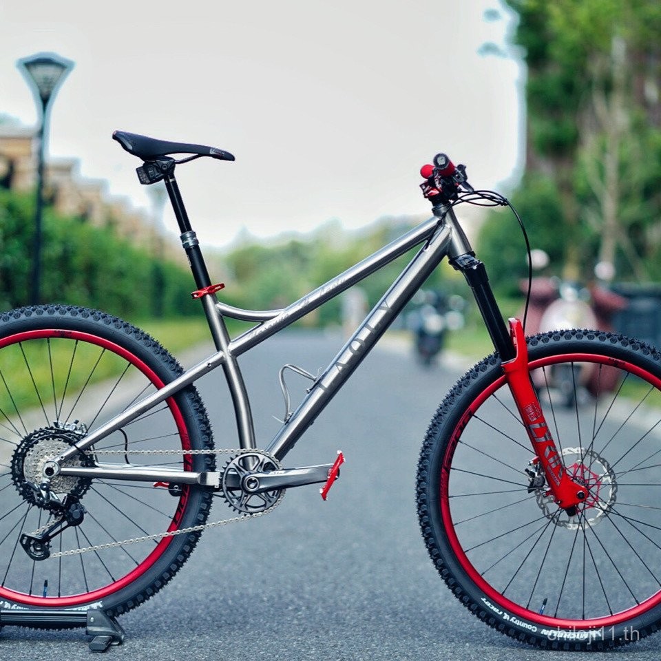 Diyun DIOREN Titanium Alloy Mountain Bike rockshox Front Fork Michelin ...