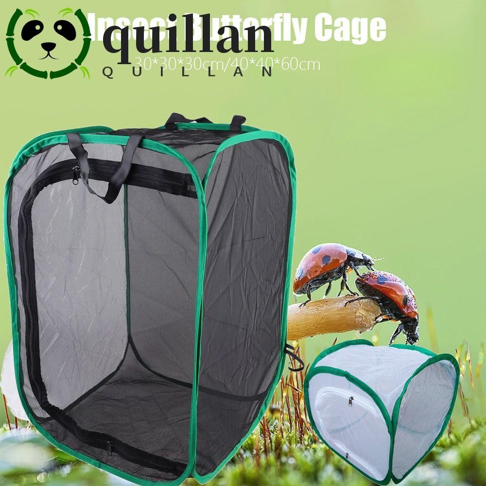 QUILLAN กรงแมลงโปร่งใสอุปกรณ์สัตว์เลี้ยงพับได้ Farm Mantis Incubator ...
