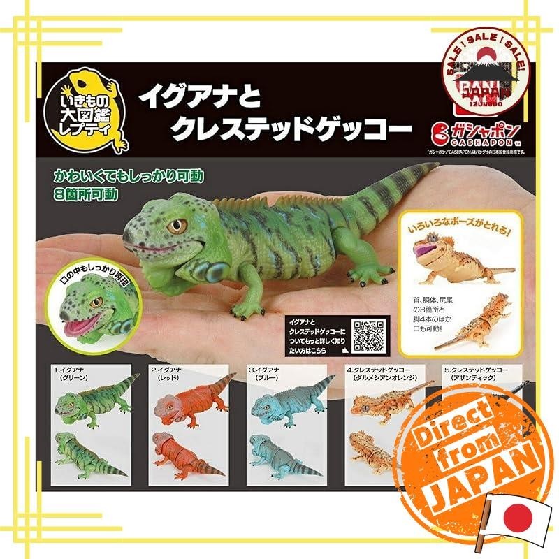 Iguana and Crested Geckos x 5 pieces, full set, capsule toy | Shopee ...