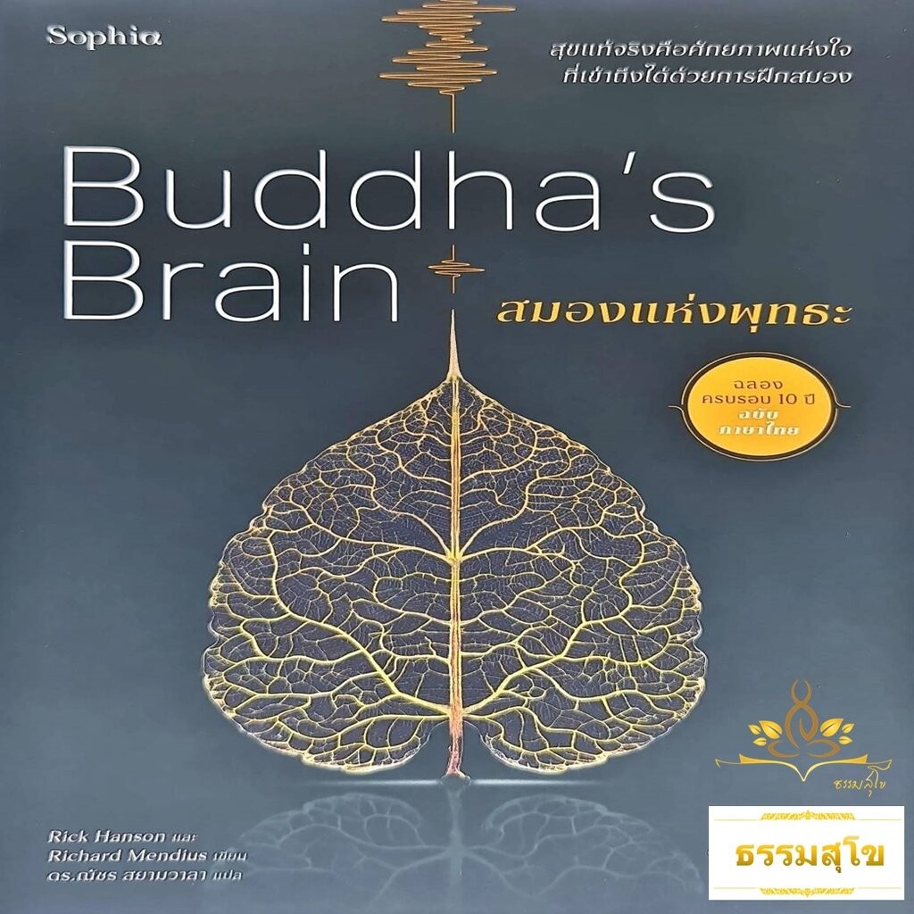 สมองแห่งพุทธะ : Buddha's Brain | Shopee Thailand