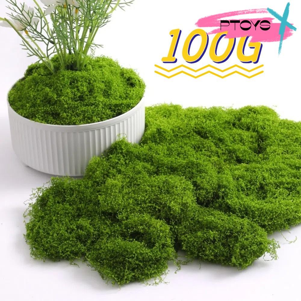 PTOYS ประดิษฐ์ Moss, 100G Mini ภูมิทัศน์ Miniature ฉาก Moss, MINI ภูมิทัศน์ DIY Craft Terrarium ...