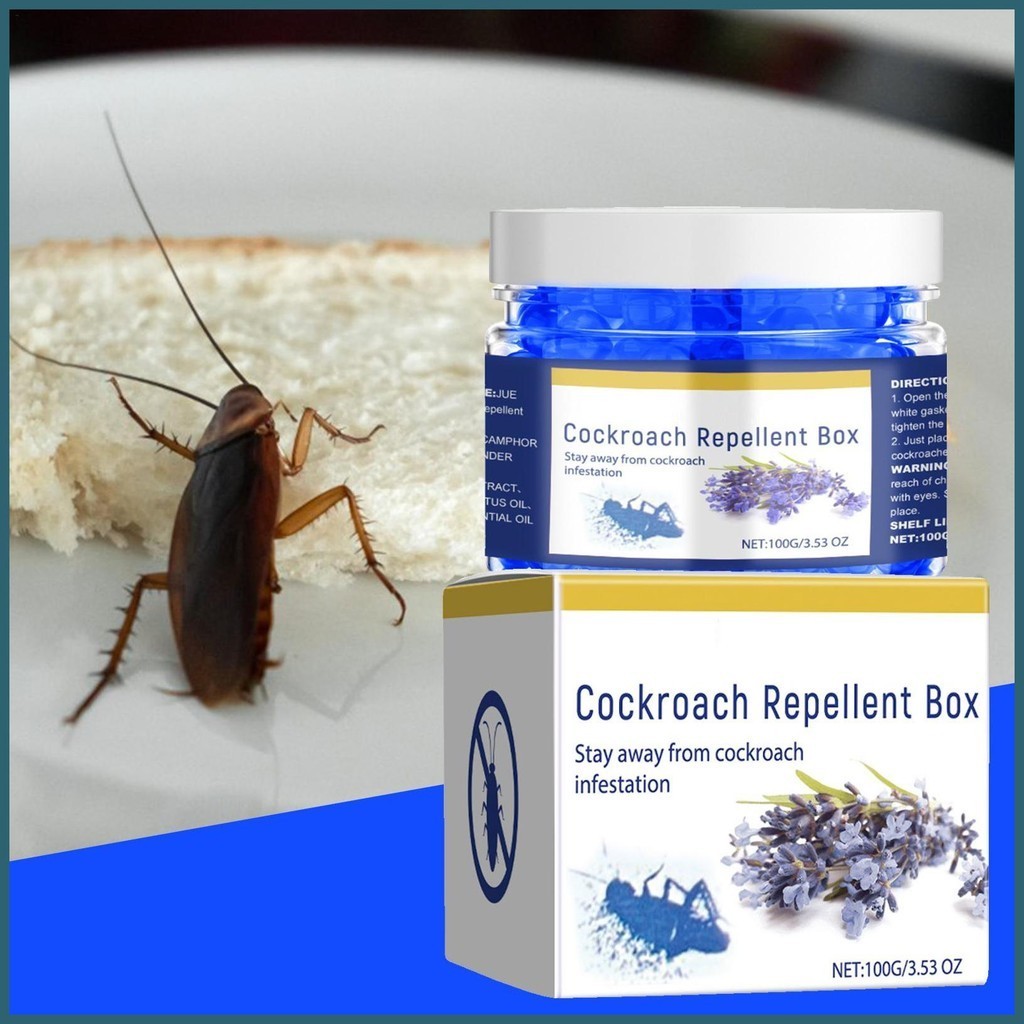 Roach Bait Traps กล่องดักแมลงสาบ Human & Pet Friendly Roach Defense ...