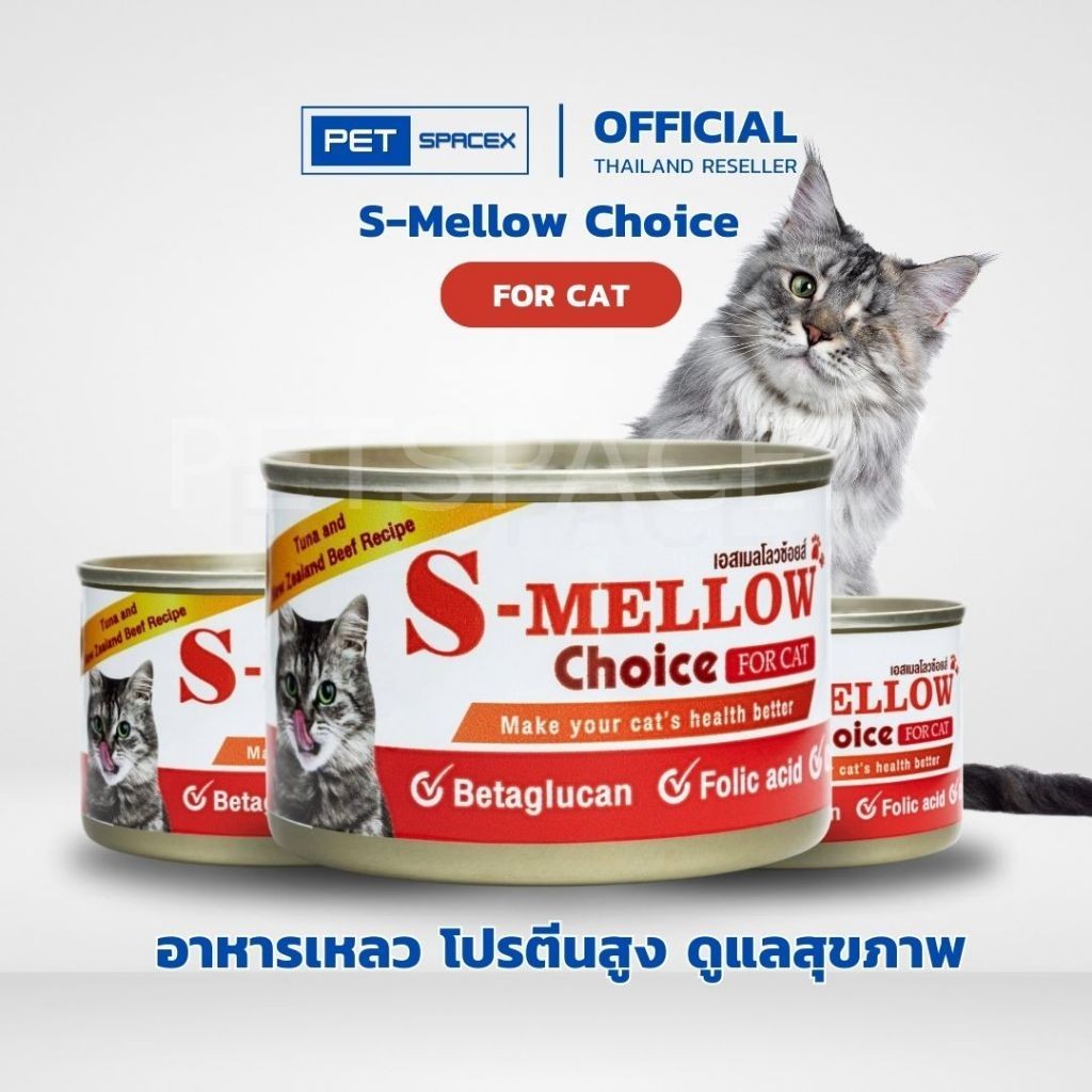 S-Mellow Choice Cat (สีส้ม) อาหารแมวป่วยที่ดีที่สุด โปรตีนสูง สำหรับ ...