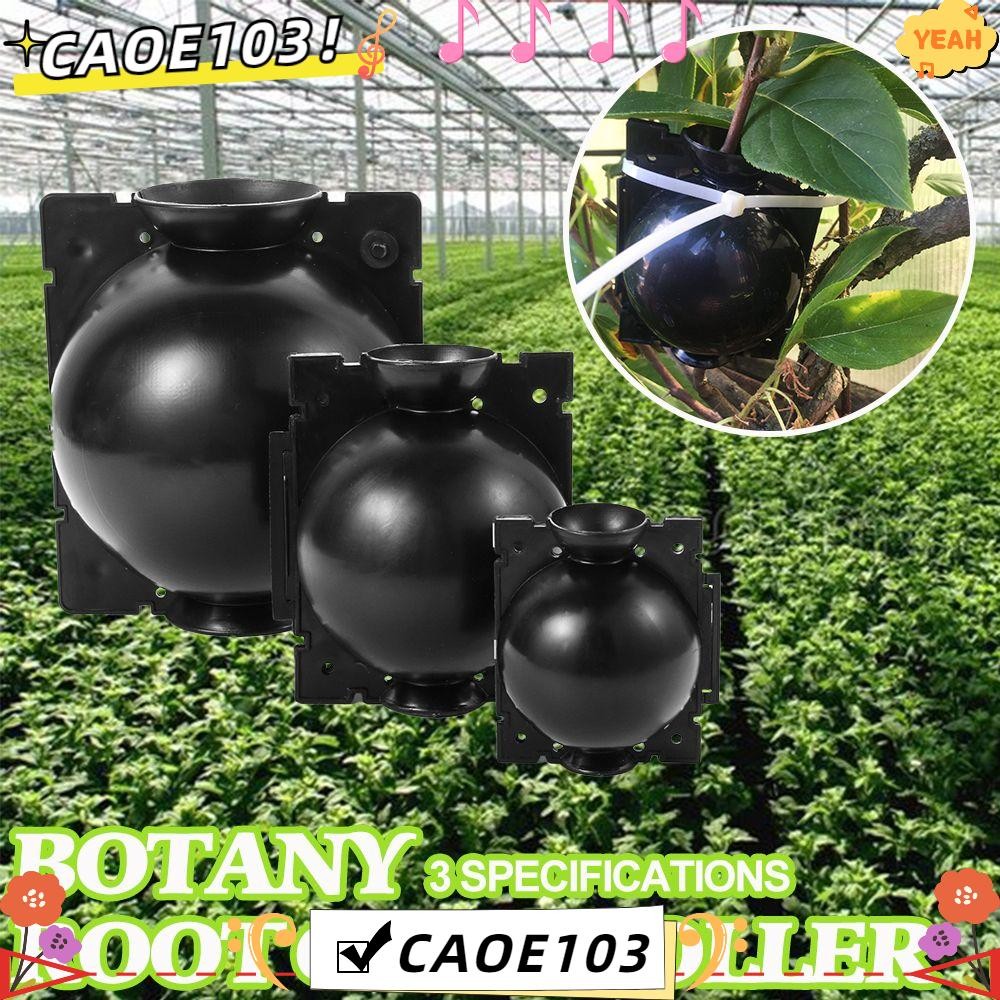 CAOE Botany Root Controller,พลาสติก Breeding High Pressure Incubator ...