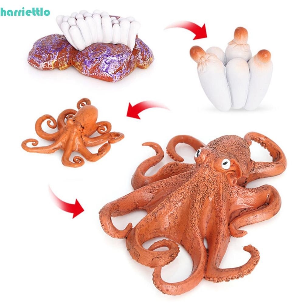HARRIETTLO ชีวิตที่สมจริงรอบเด็กของขวัญพลาสติก Earthworm King Crab ...