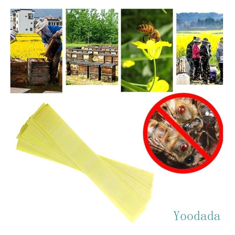 Yoo Varroa Strips Fluvalinate Bee Mite Killer Treatment เครื่องมือการ ...