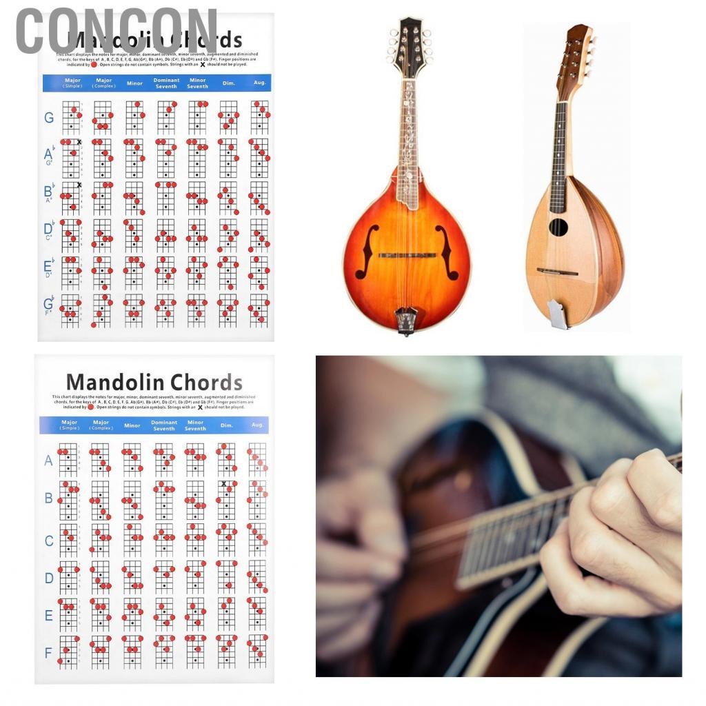 Concon Mandolin Chord Notes Chords หลอดยาวบรรจุภัณฑ์เครื่องดนตรี ...