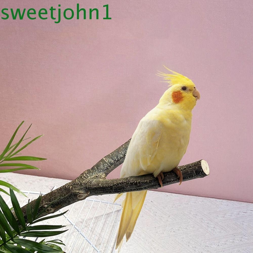 Sweetjohn Bird Cage Sticks, ไม้ธรรมชาติ Bird Stuff Stand, นกอุปกรณ์ ...