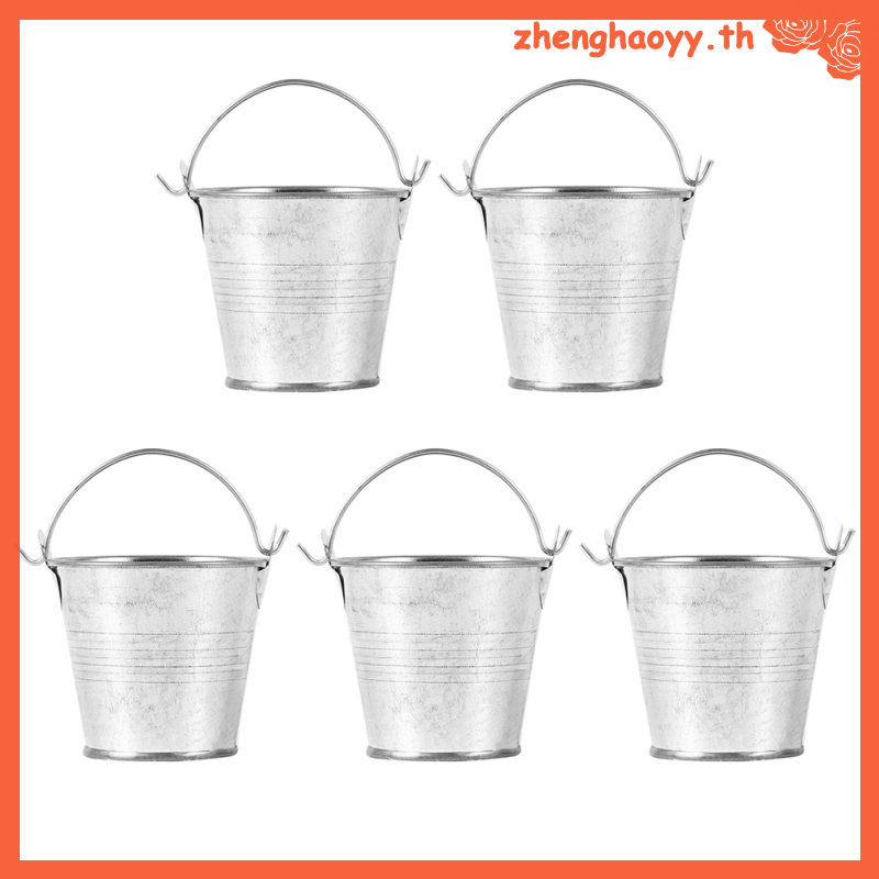 5 ชิ้น Party Favors Pail Mini Bucket Plant Decor โลหะเหล็กแบบพกพากลอง ...