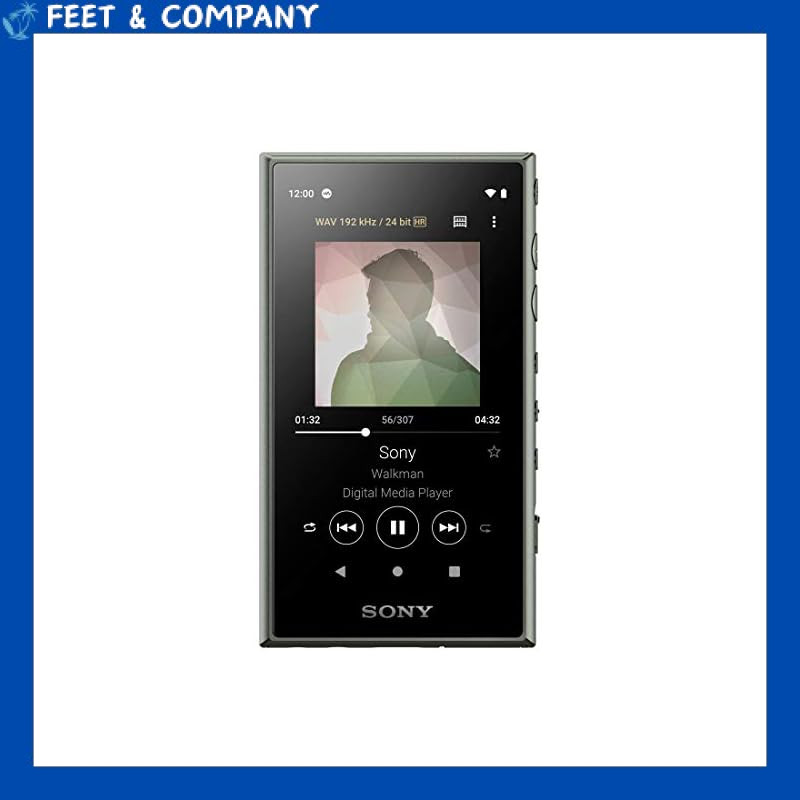Sony Walkman 16GB A Series NW-A105: Hi-Res Compatible / MP3 Player ...