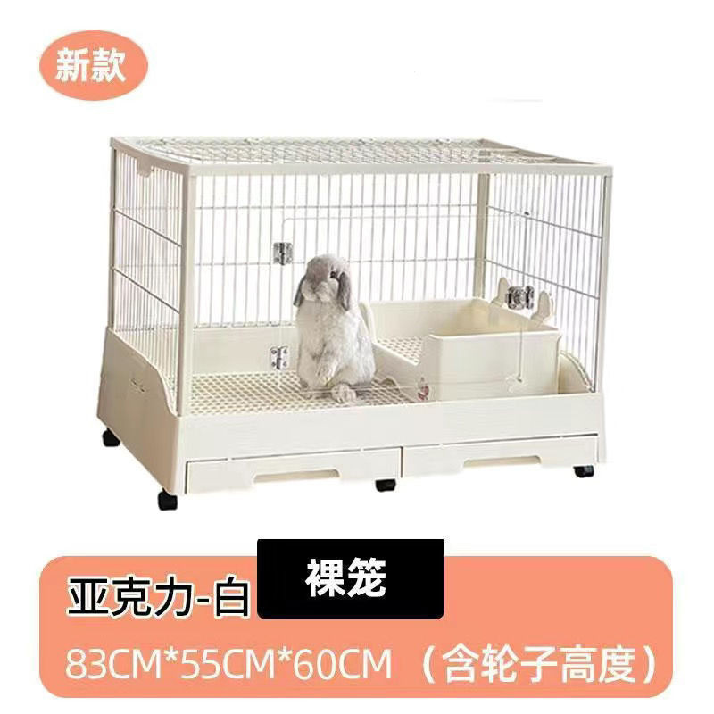 จัดส่งฟรี ~ สินค้าเฉพาะจุด ~ จัดส่งฟรี ~ สินค้าเฉพาะจุด ~ UMI Rabbit ...