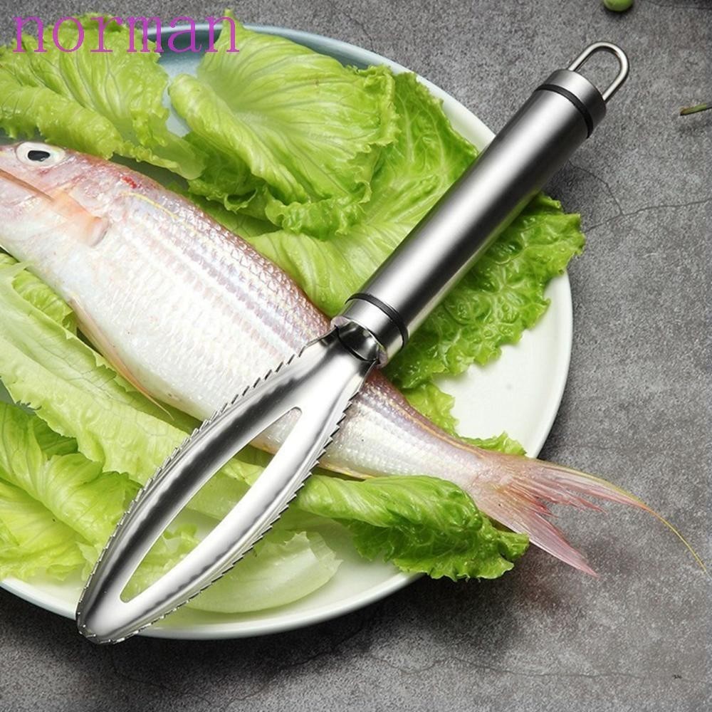 Norman Fish Scaler Fast Remove Manual Peeler Scraper แปรงผิวปลาสแตนเลส ...